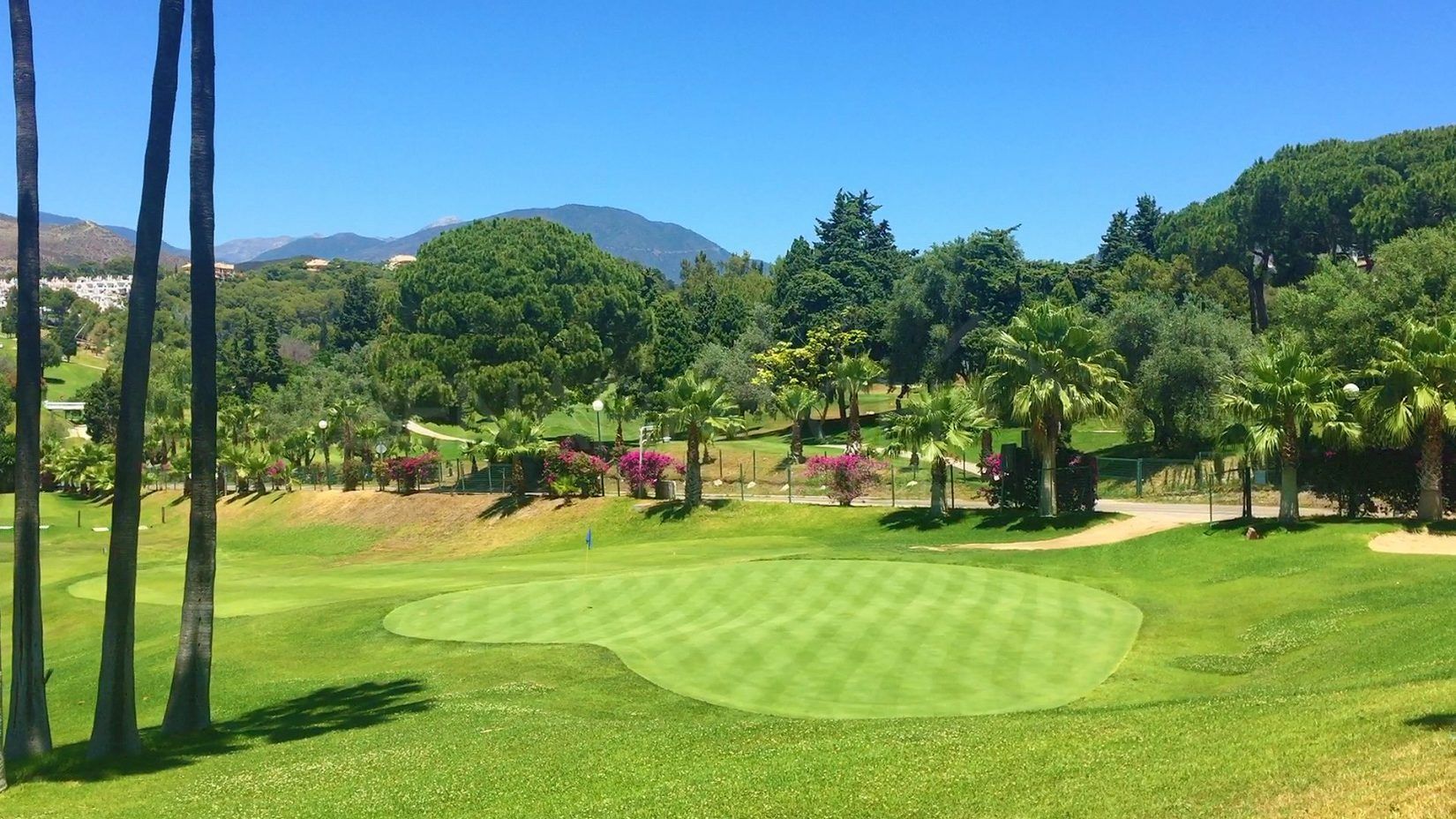 Où acheter une propriété à Nueva Andalucía, Marbella